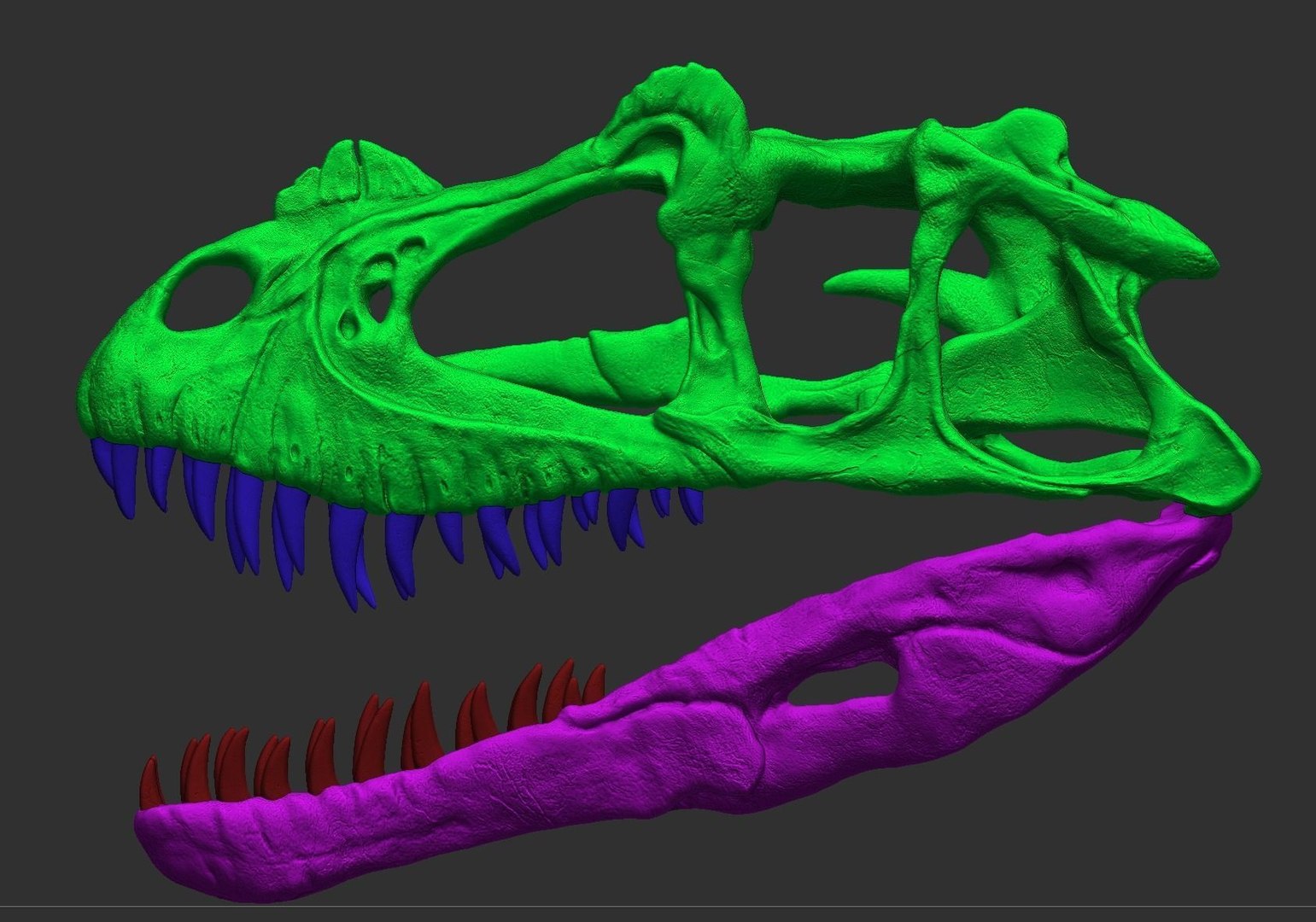 Ceratosaurus Skull 3D Print Model 3D Model - TurboSquid 2396576