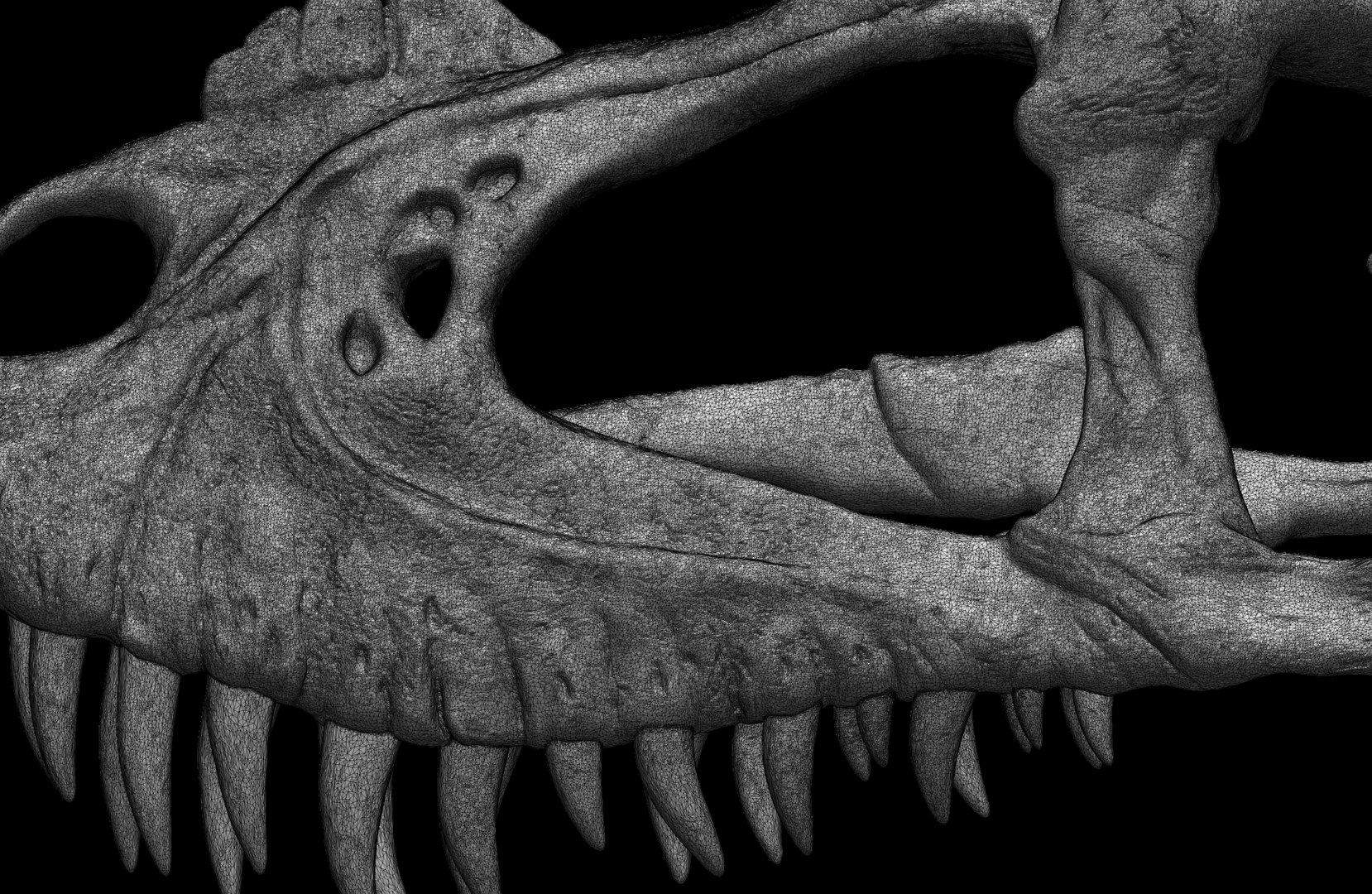 Ceratosaurus Skull 3D Print Model 3D Model - TurboSquid 2396576