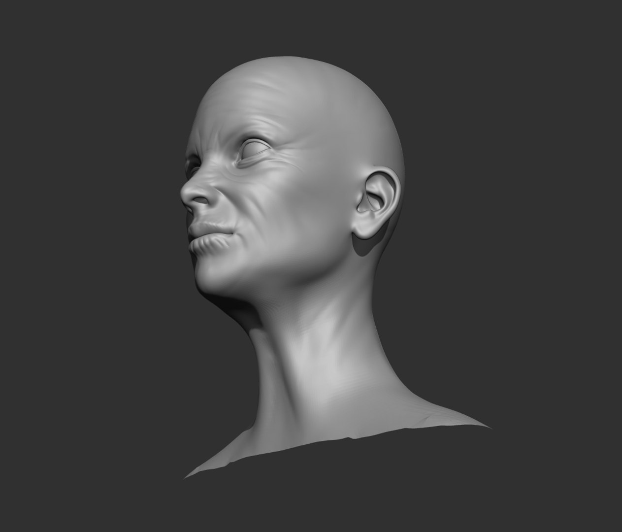 Old Female Head Realistic 3D Model - TurboSquid 1554667