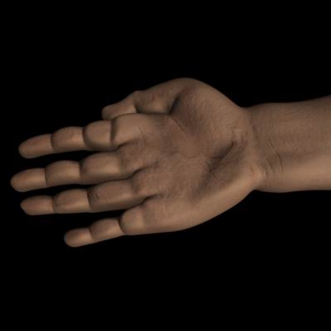 3ds Max Hand