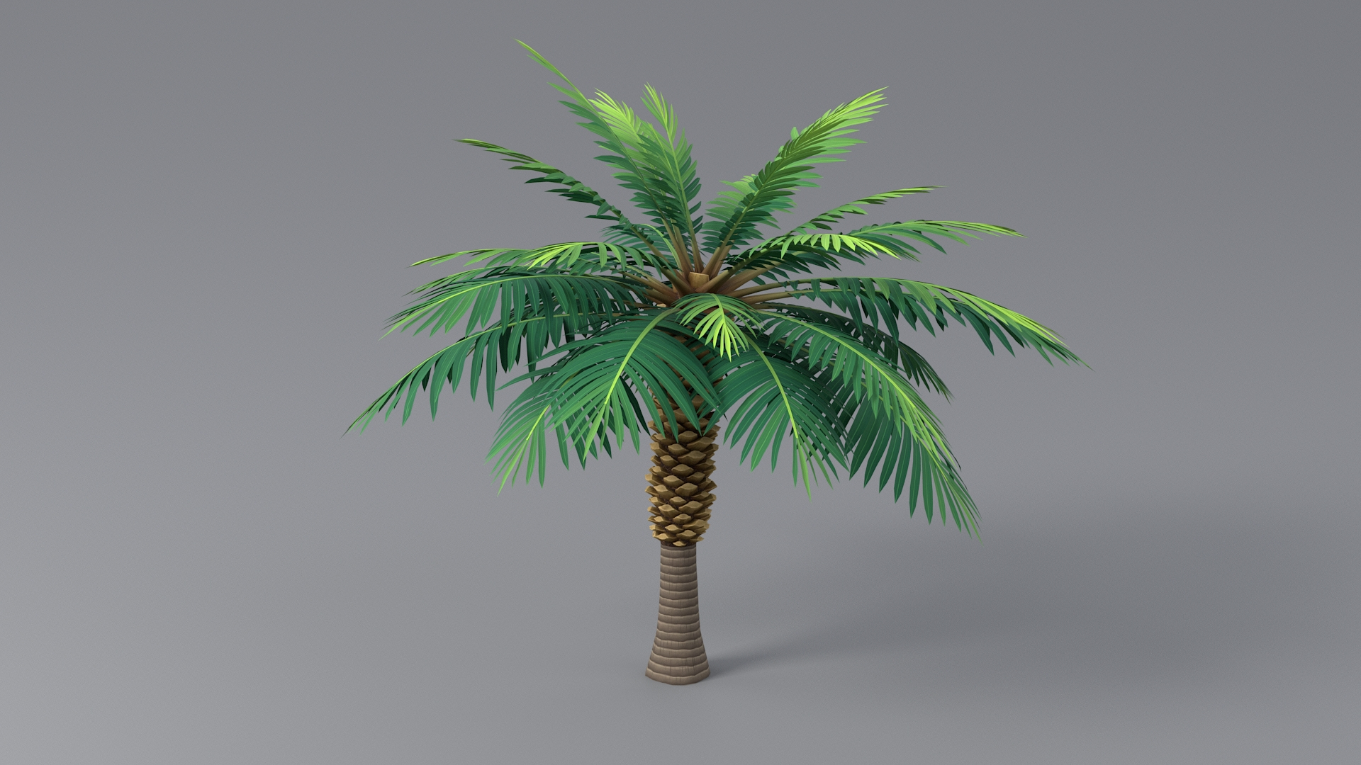 3D Model Cartoon Palm Tree 01 - TurboSquid 1941520