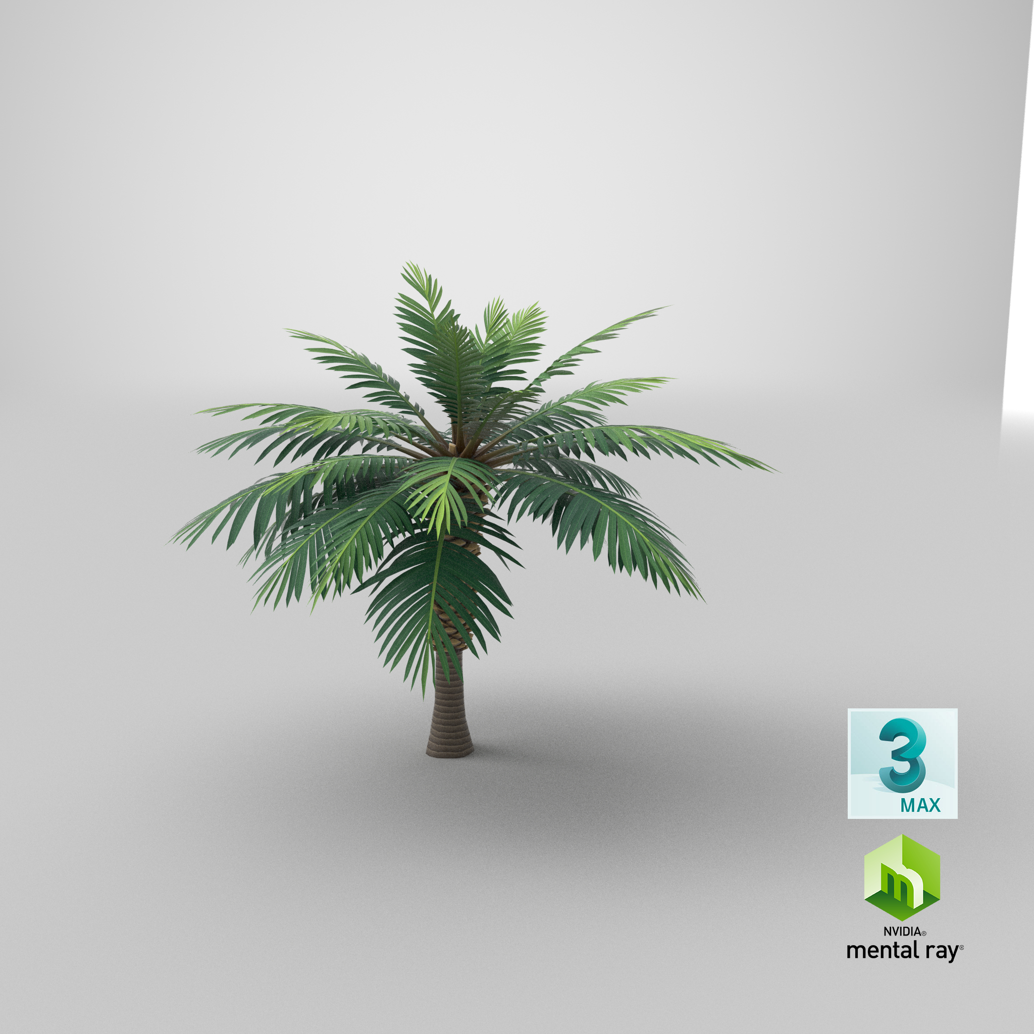 modelo 3d Cartoon Palm Tree 01 - TurboSquid 1941520