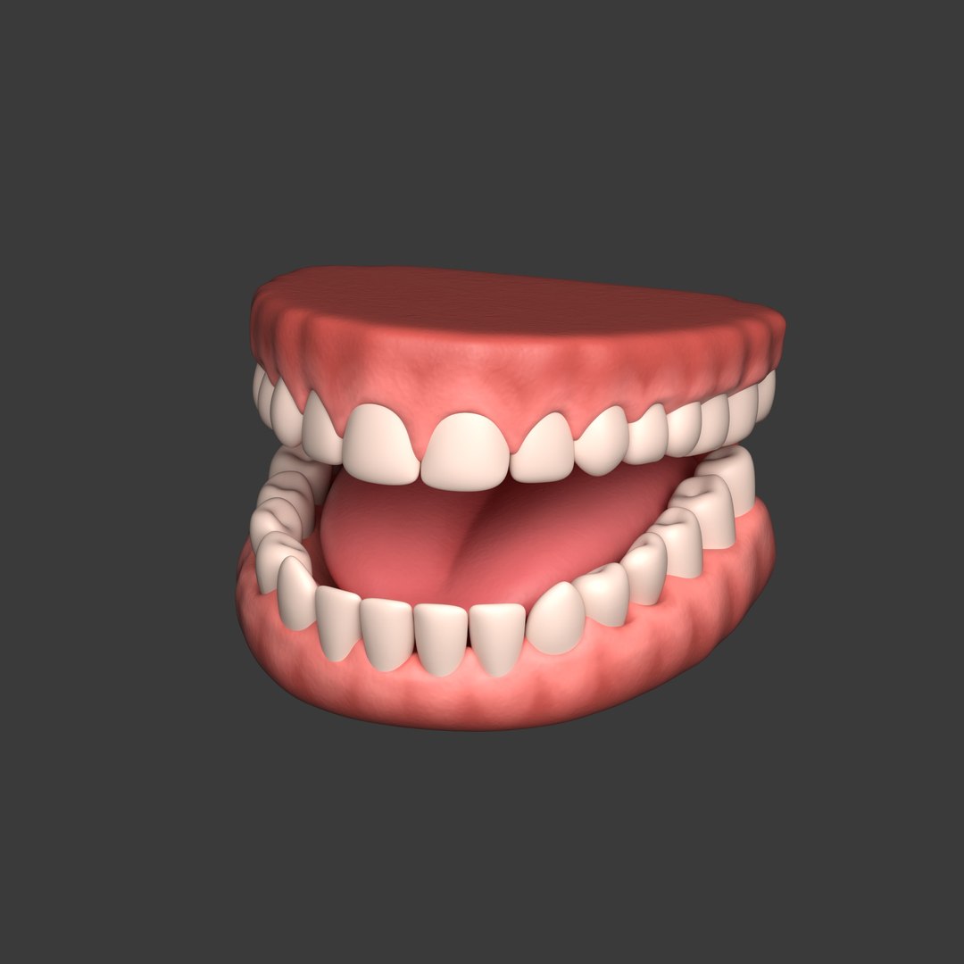 3D Human Mouth Teeth Tongue - TurboSquid 2364786