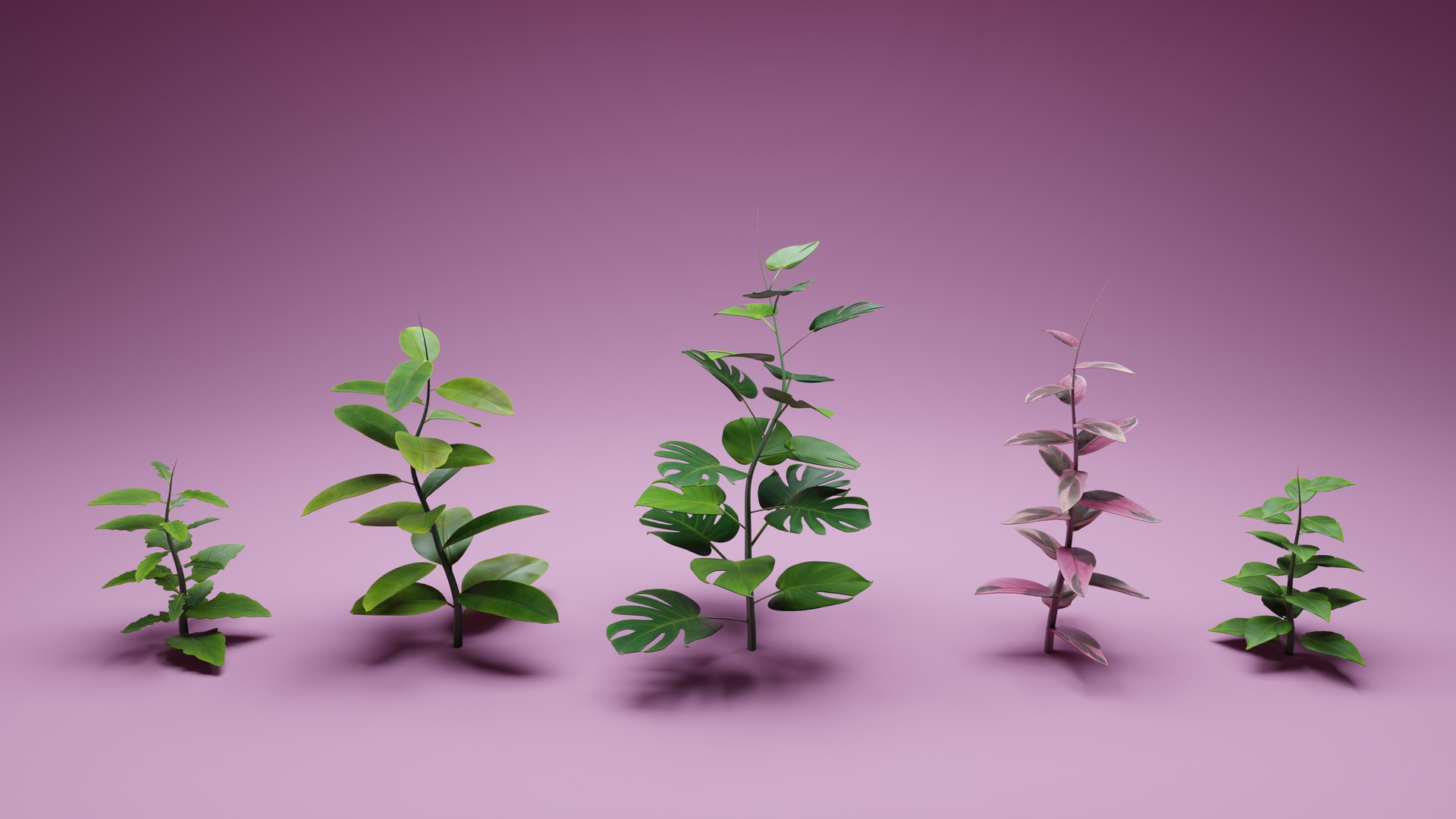 Procedural Growing Plants Model - TurboSquid 1993855