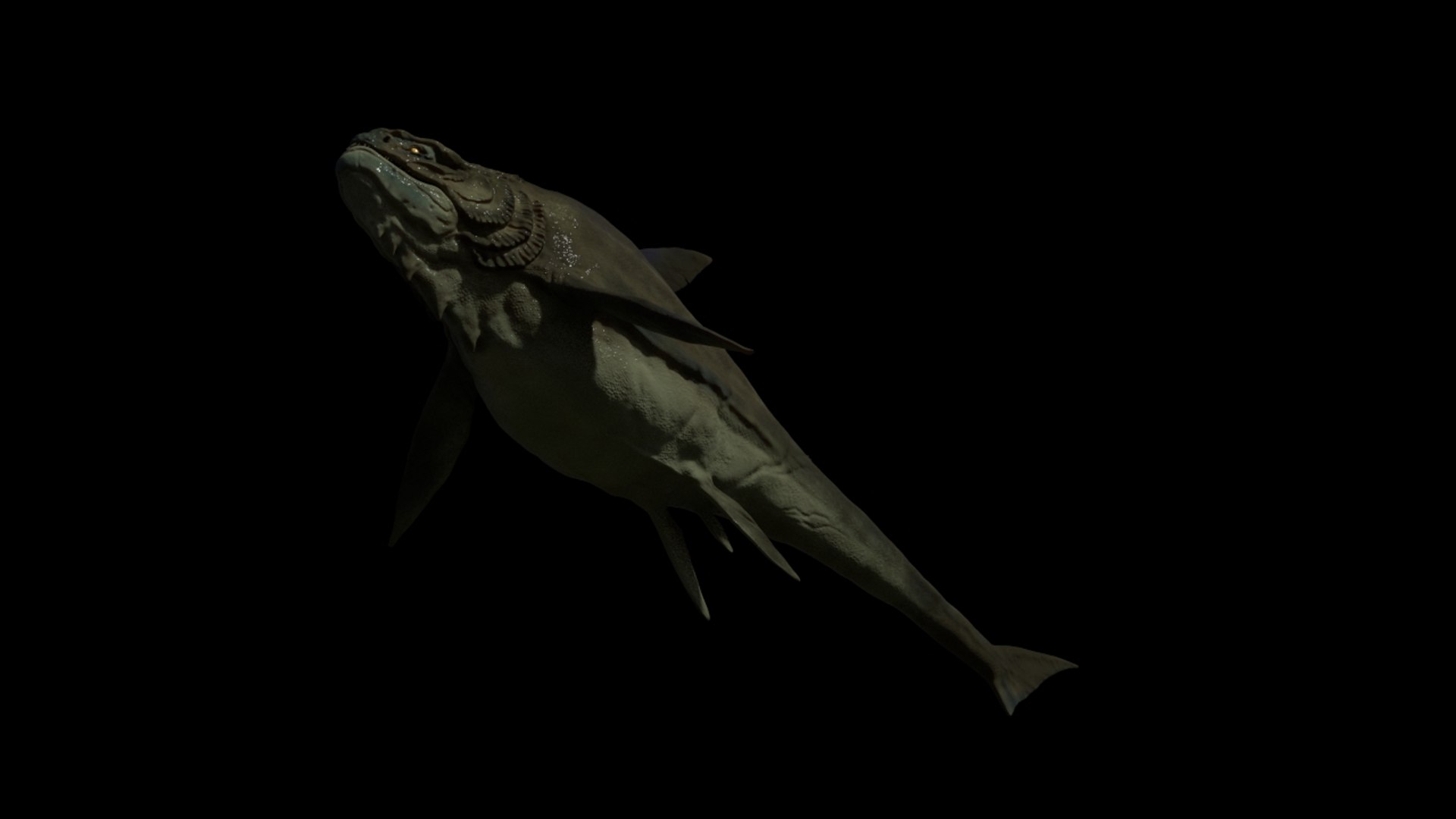 Sea Beast Rig Studio 3D - TurboSquid 1320290