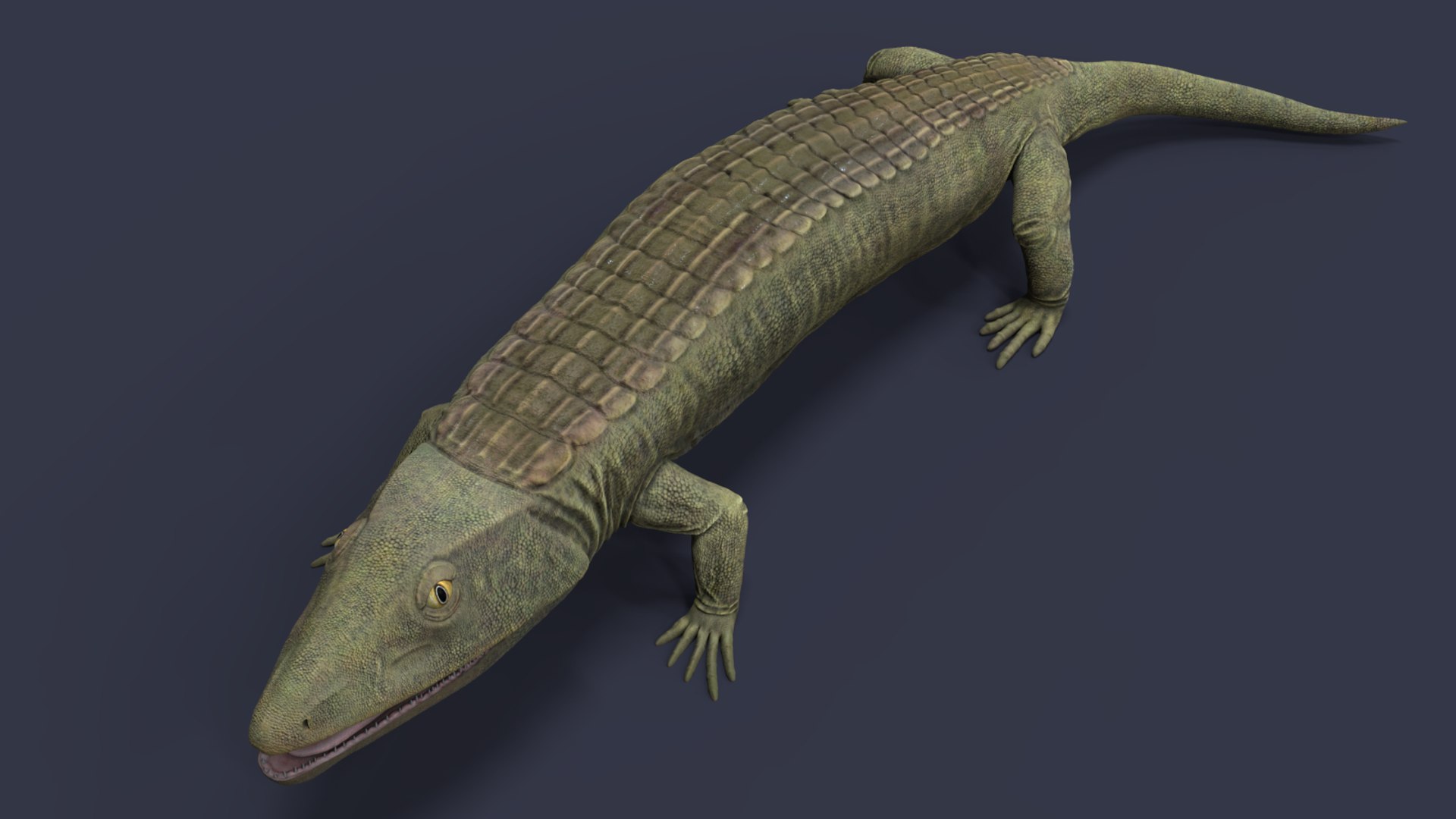3D Chroniosuchus Paradoxus Model - TurboSquid 1349750