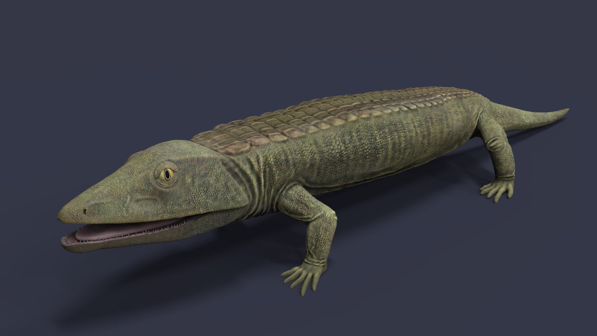 3D Chroniosuchus Paradoxus Model - TurboSquid 1349750