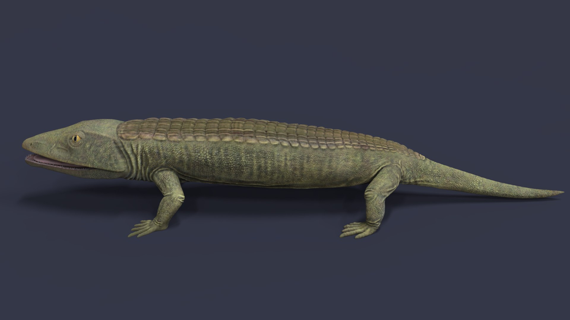 3D Chroniosuchus Paradoxus Model - TurboSquid 1349750