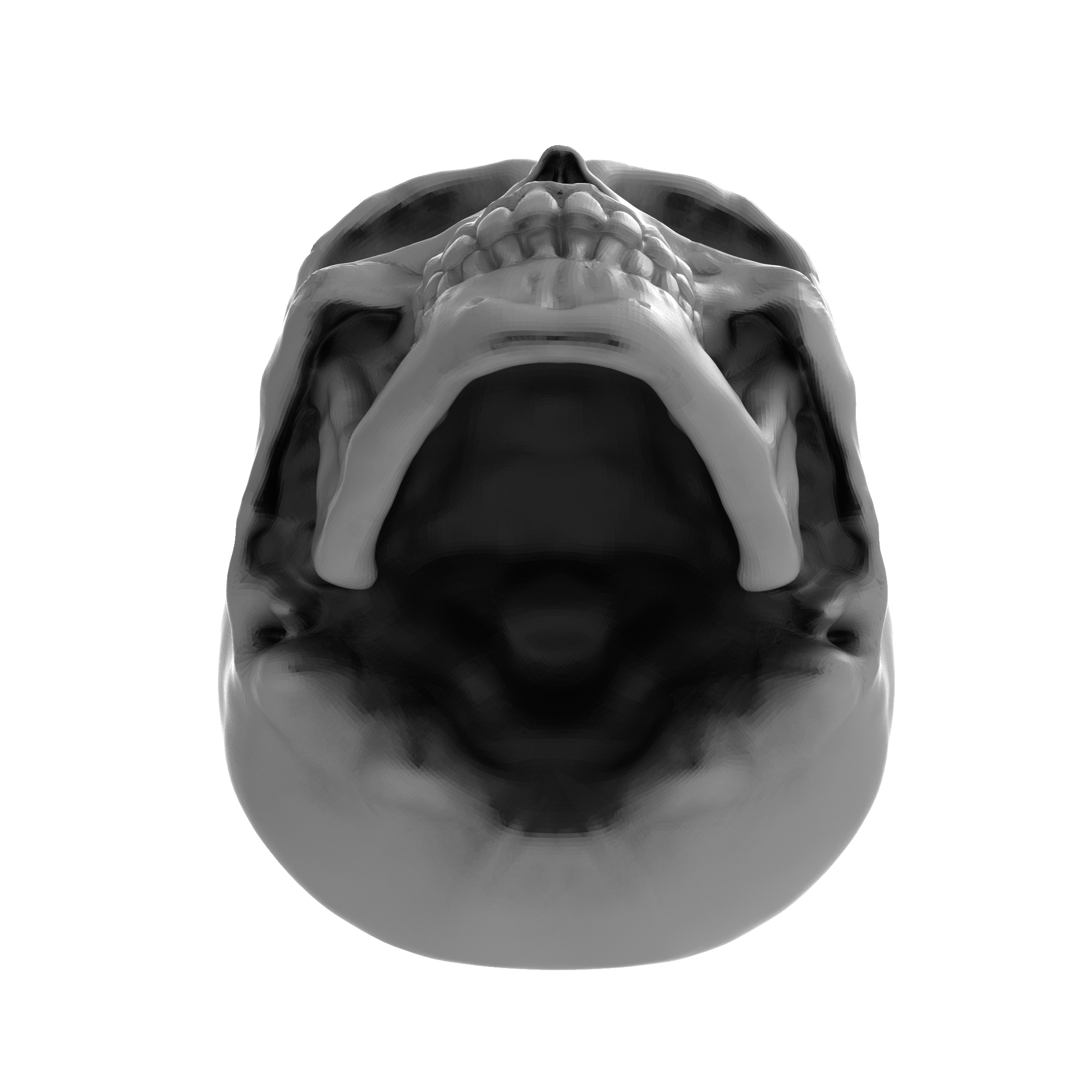 Simple Human Skull - Solid obj 3D model - TurboSquid 1721864