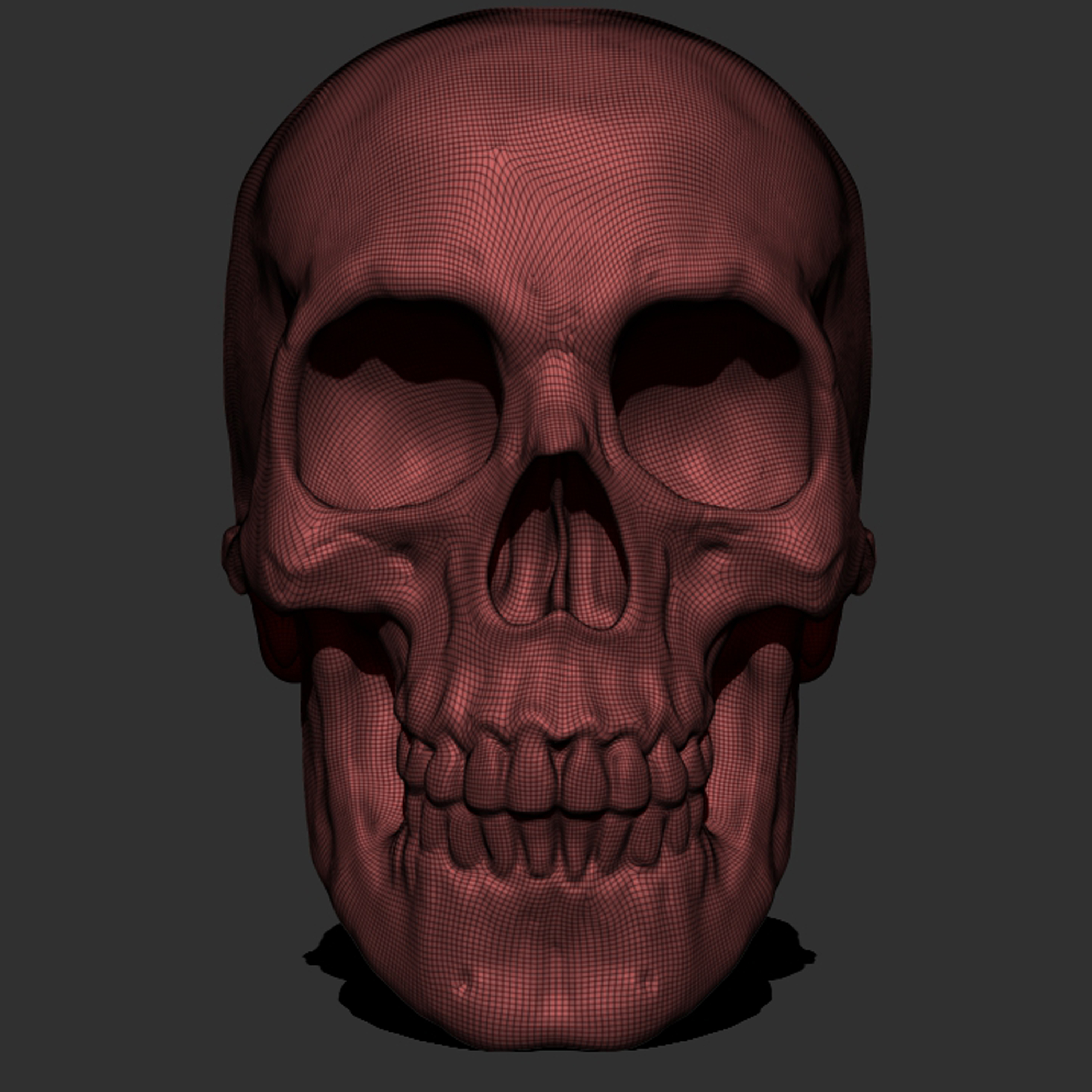 Simple Human Skull - Solid obj 3D model - TurboSquid 1721864