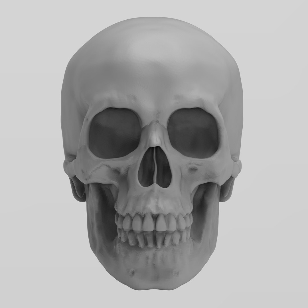 Simple Human Skull - Solid Obj 3D Model - TurboSquid 1721864