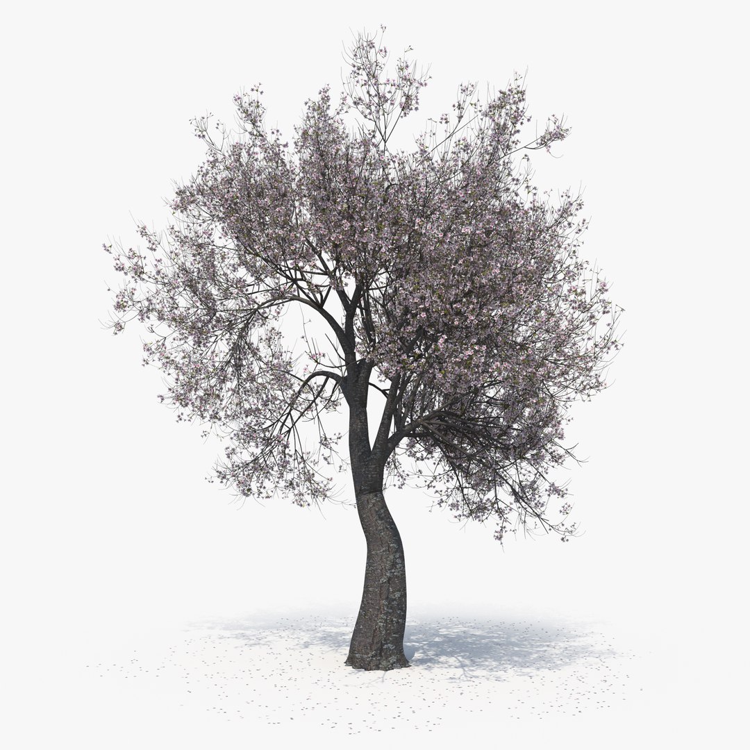 Blossom Tree 05 3D Model - TurboSquid 1220938