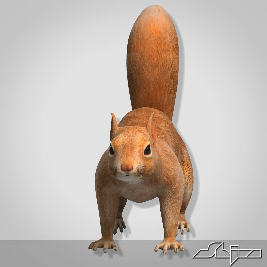 Squirrel Rigged Character Studio Biped 3d Model