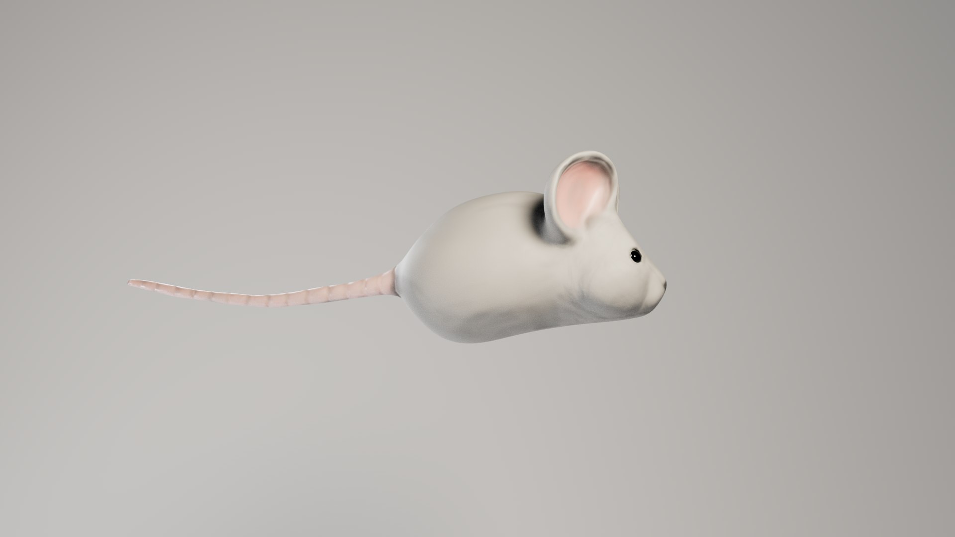 3D Mouse Model - TurboSquid 2236402