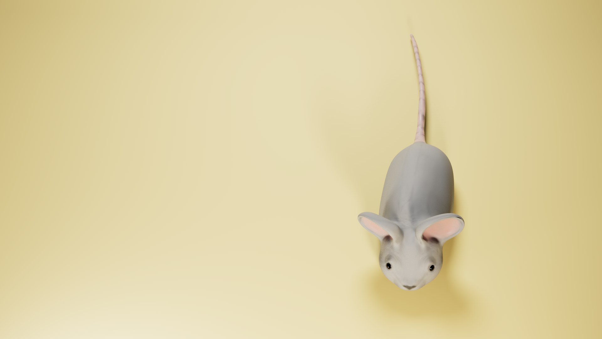 3D Mouse Model - TurboSquid 2236402