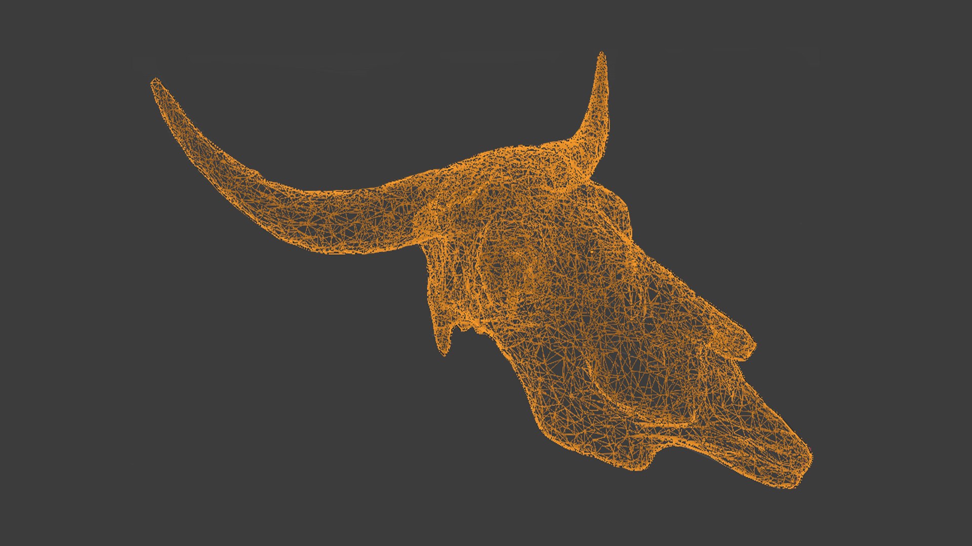 Cow Bull Longhorn Skull 3D - TurboSquid 2283722