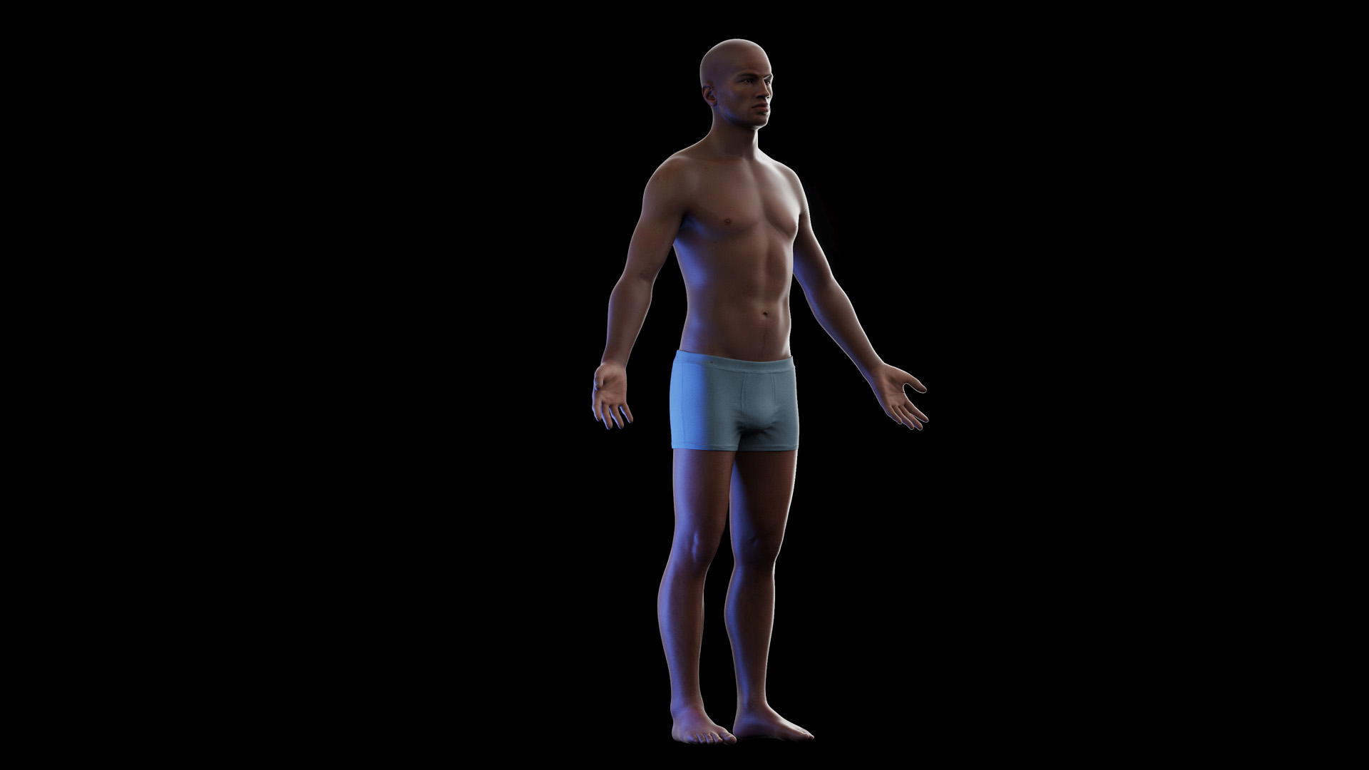 3D Human Anatomy Black Male Body Model - TurboSquid 2027147