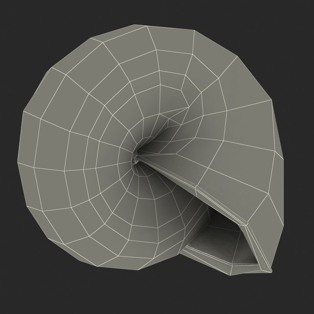 3ds max snail shell 2