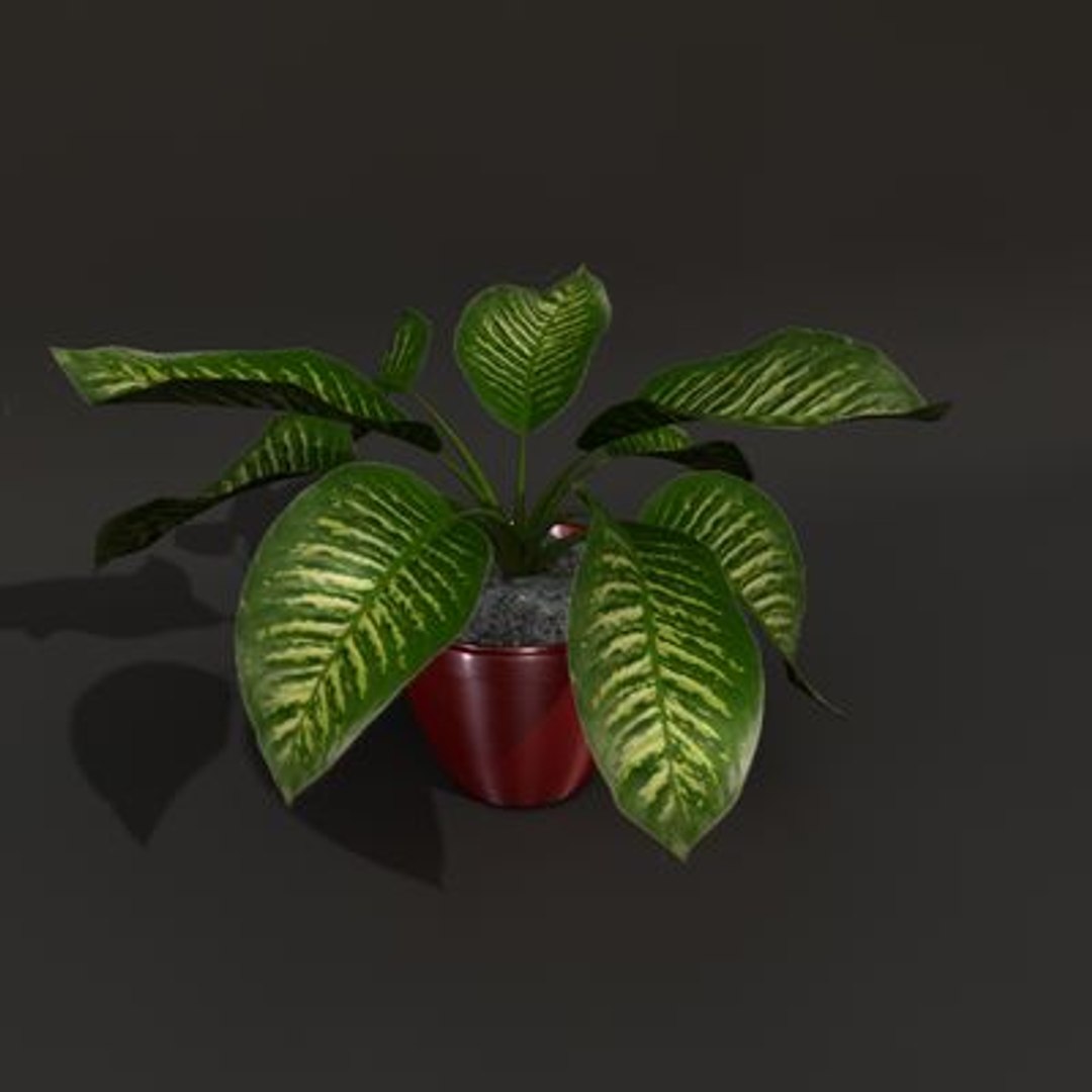 Green Leaf Plant 3d Obj
