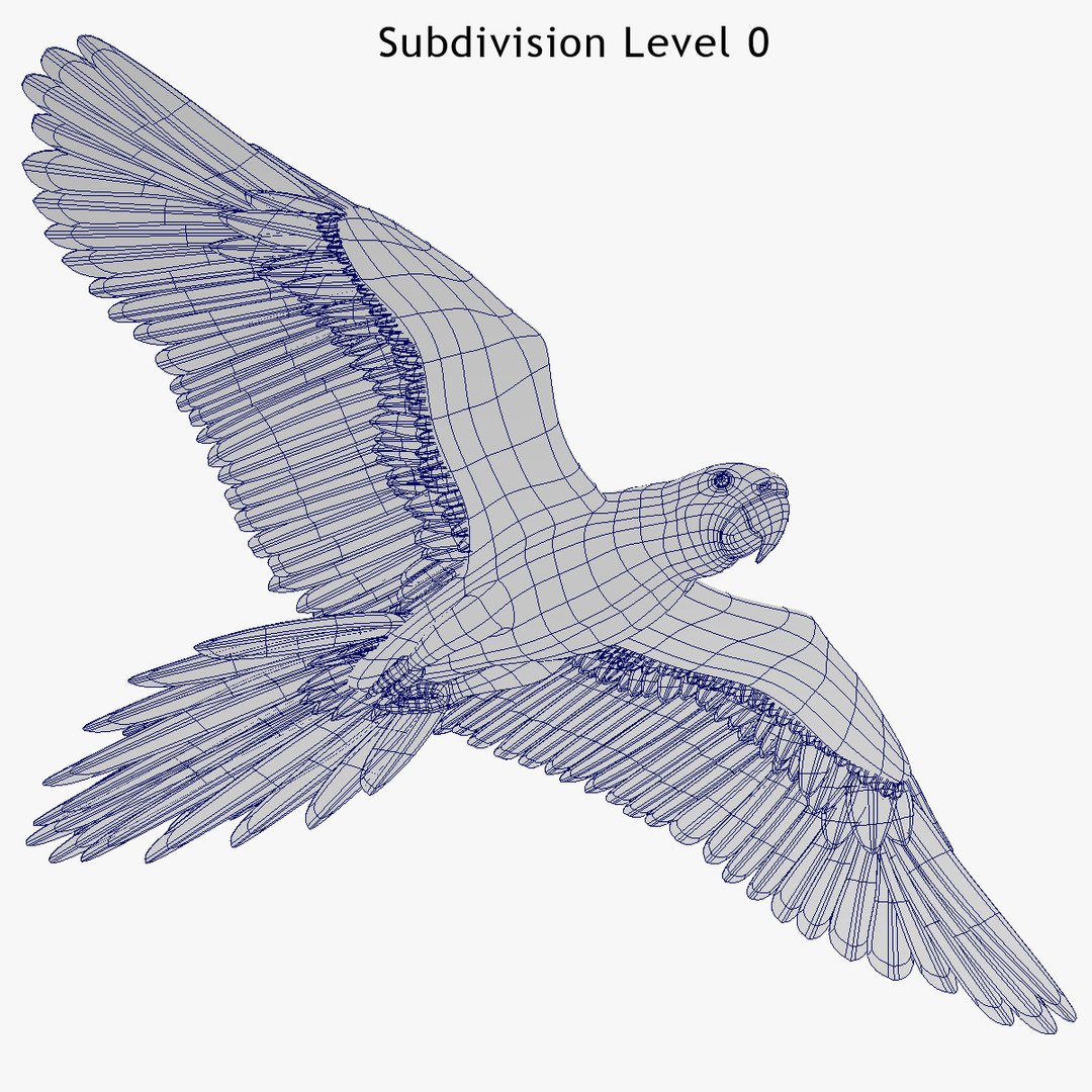 Maya Parrot Animator 2