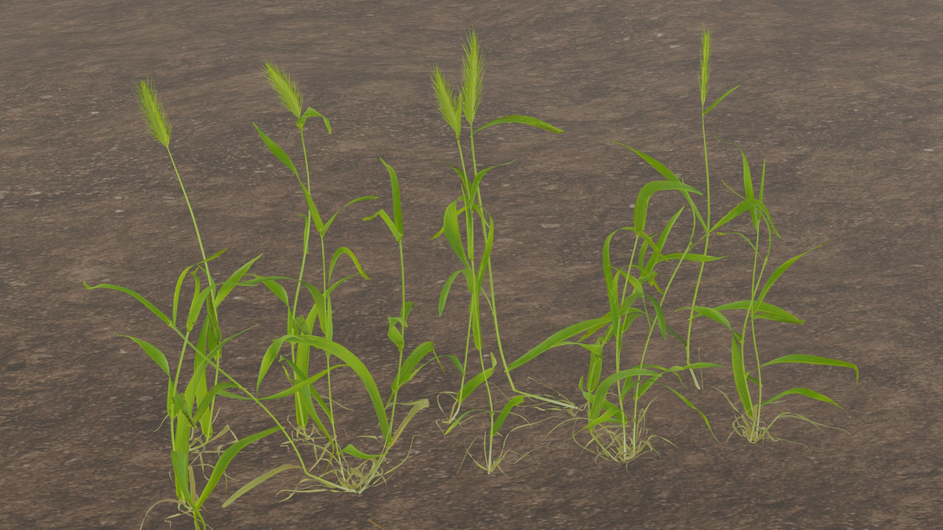Pack Grass 3D Model - TurboSquid 1411165