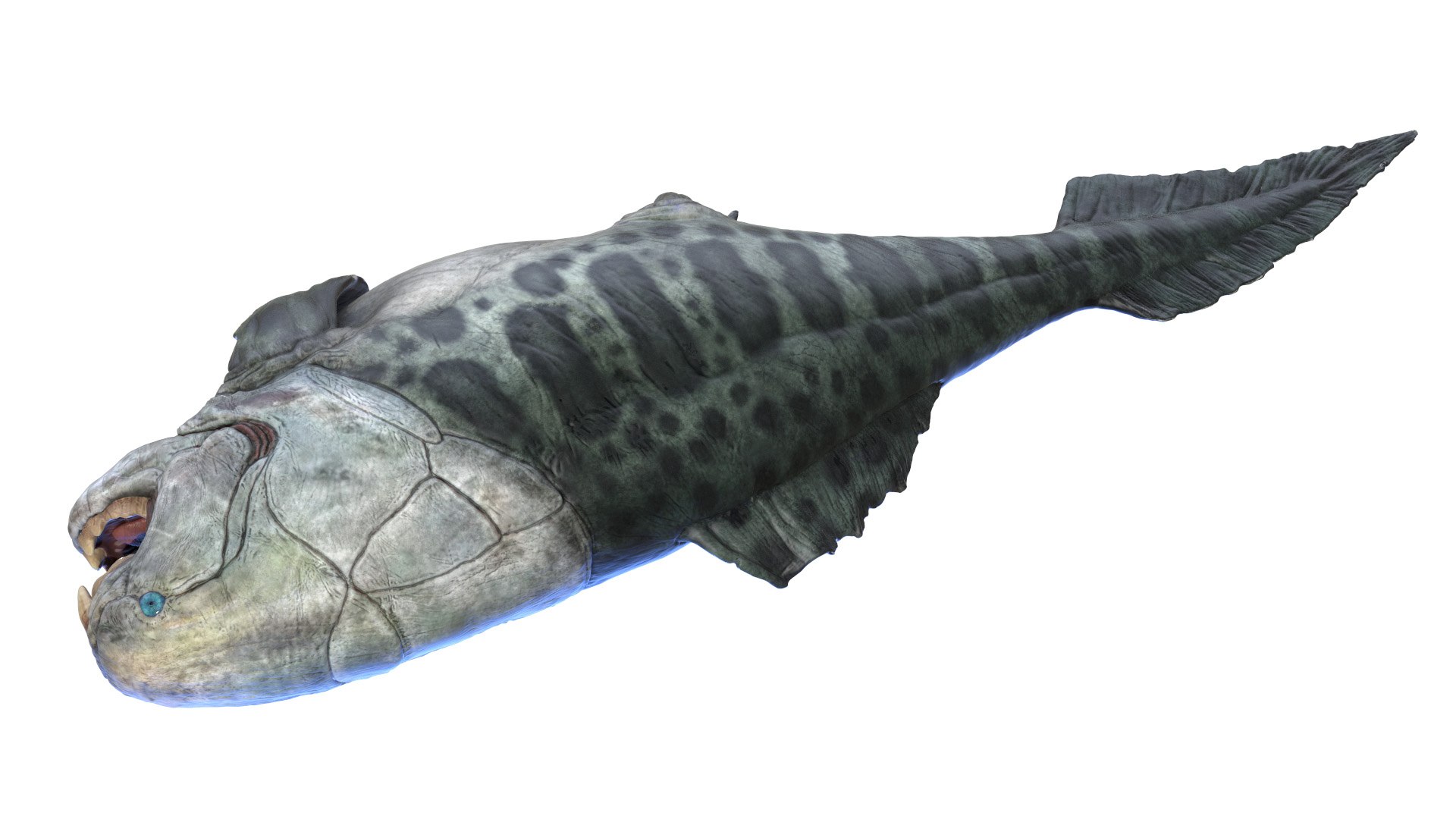 3D Dunkleosteus Animated Model - TurboSquid 1921794