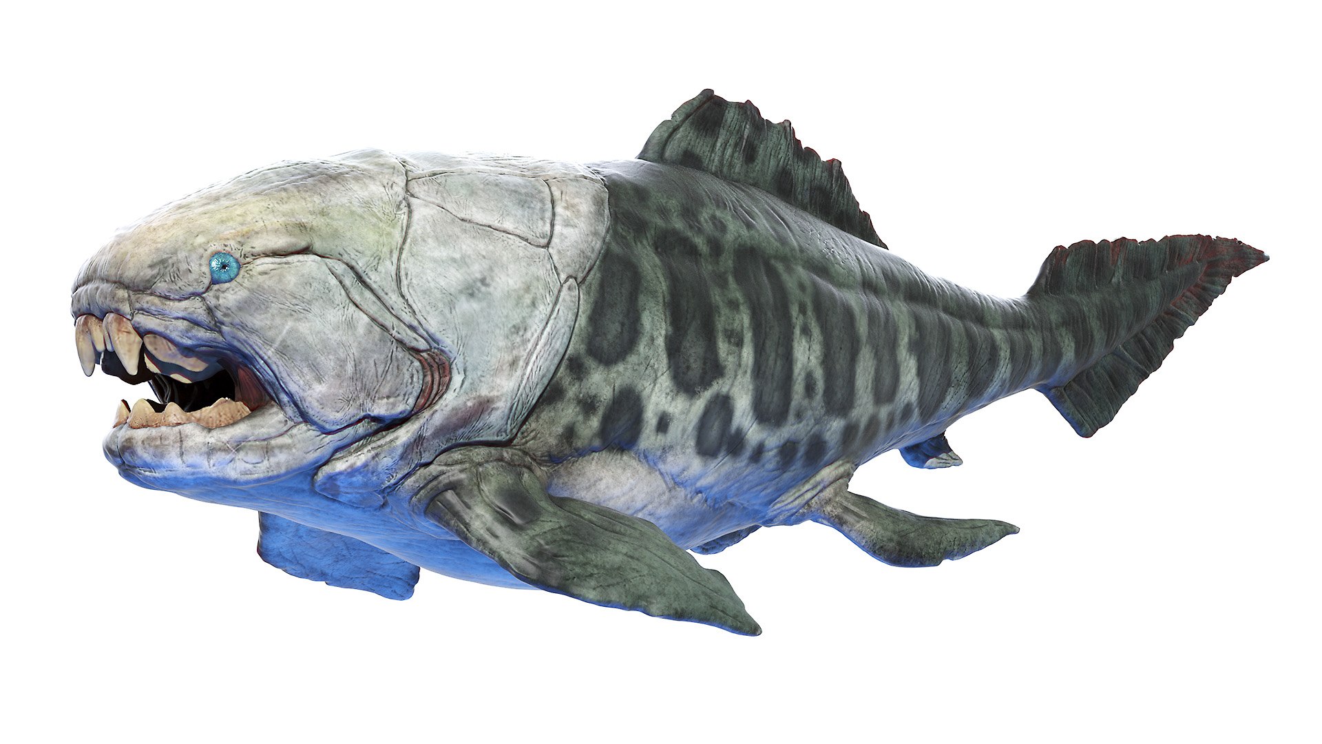 3D Dunkleosteus Animated Model - TurboSquid 1921794