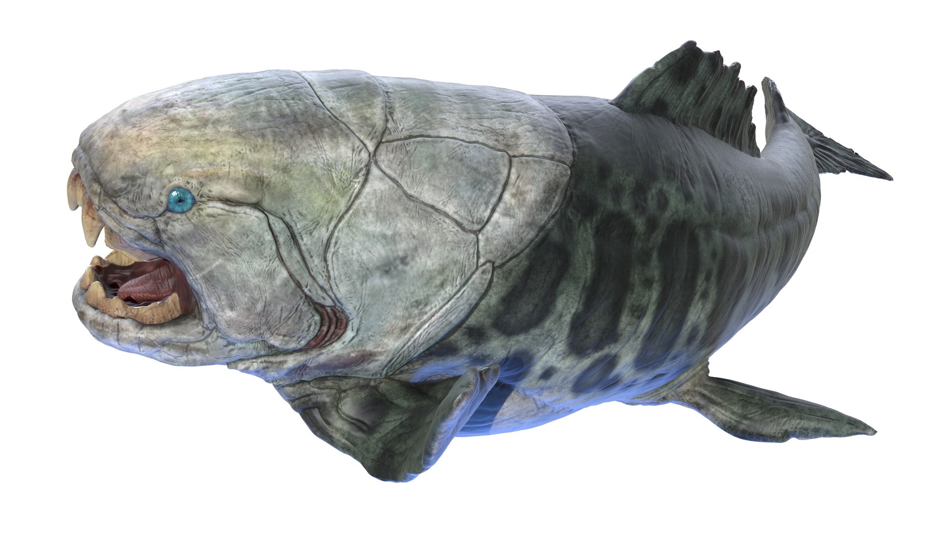 3D Dunkleosteus Animated Model - TurboSquid 1921794