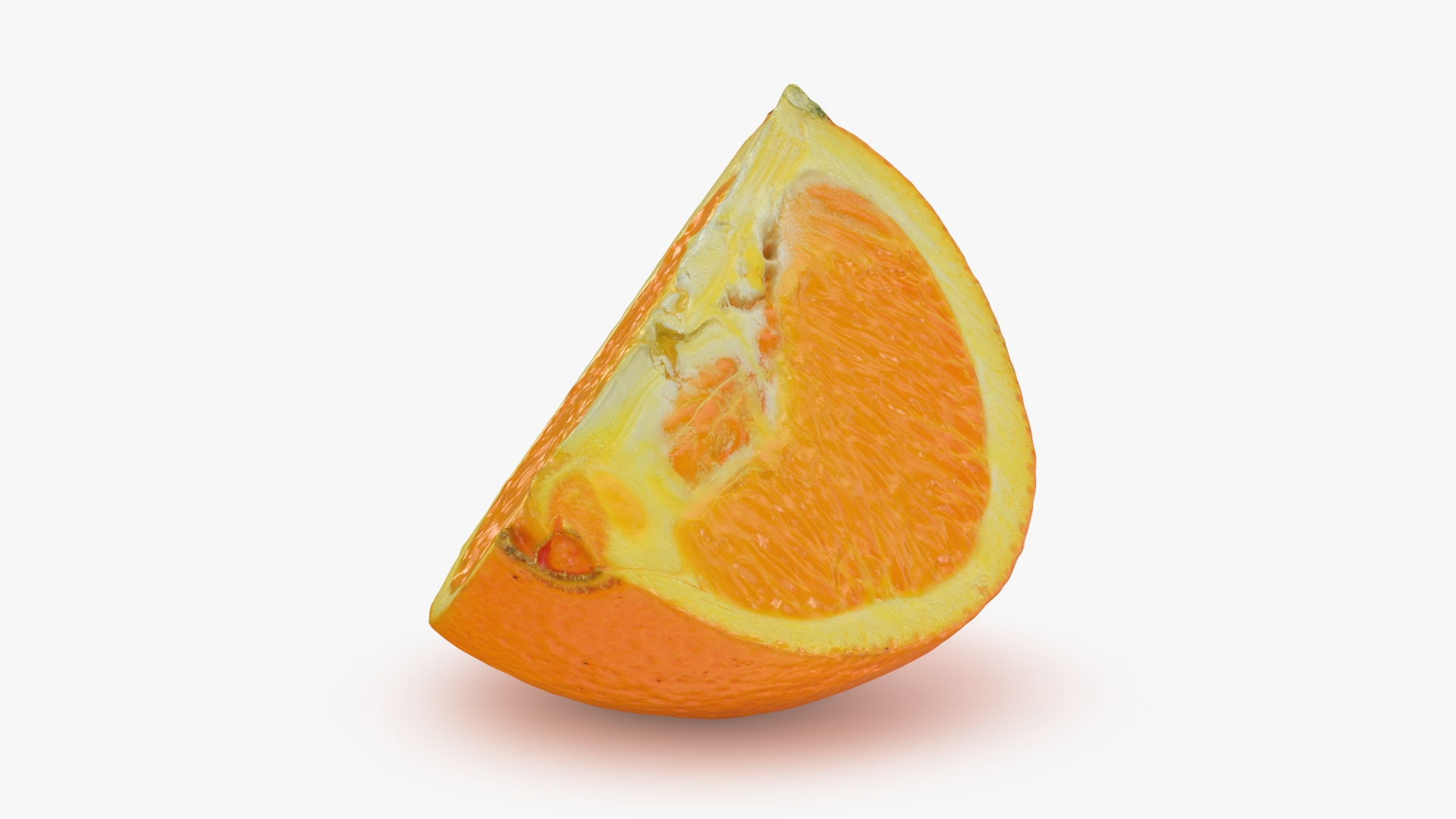 Orange Slice 3D Model - TurboSquid 2234481