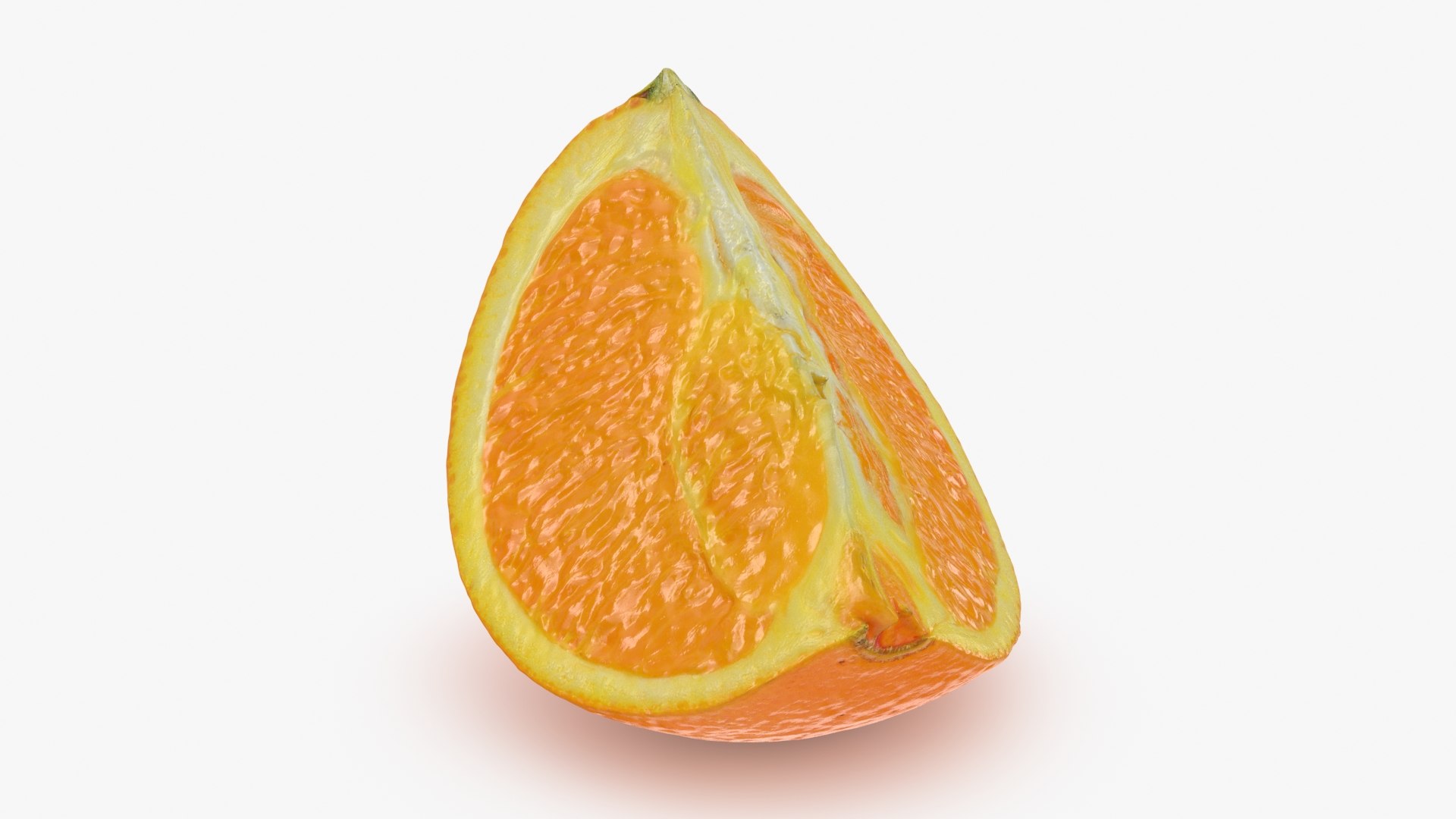 Orange Slice 3D Model - TurboSquid 2234481