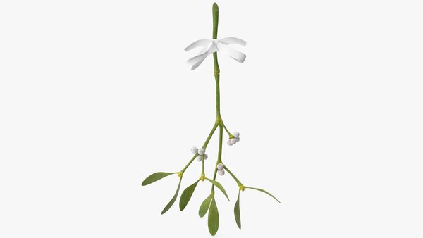 Mistletoe 2 with White Bow 2 3D model - TurboSquid 1807392