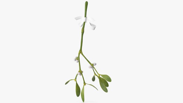 Mistletoe 2 with White Bow 2 3D model - TurboSquid 1807392
