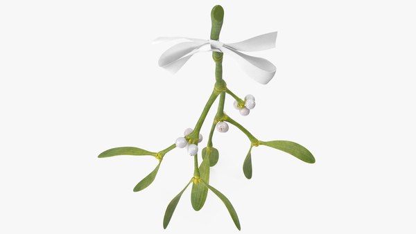 Mistletoe 2 with White Bow 2 3D model - TurboSquid 1807392