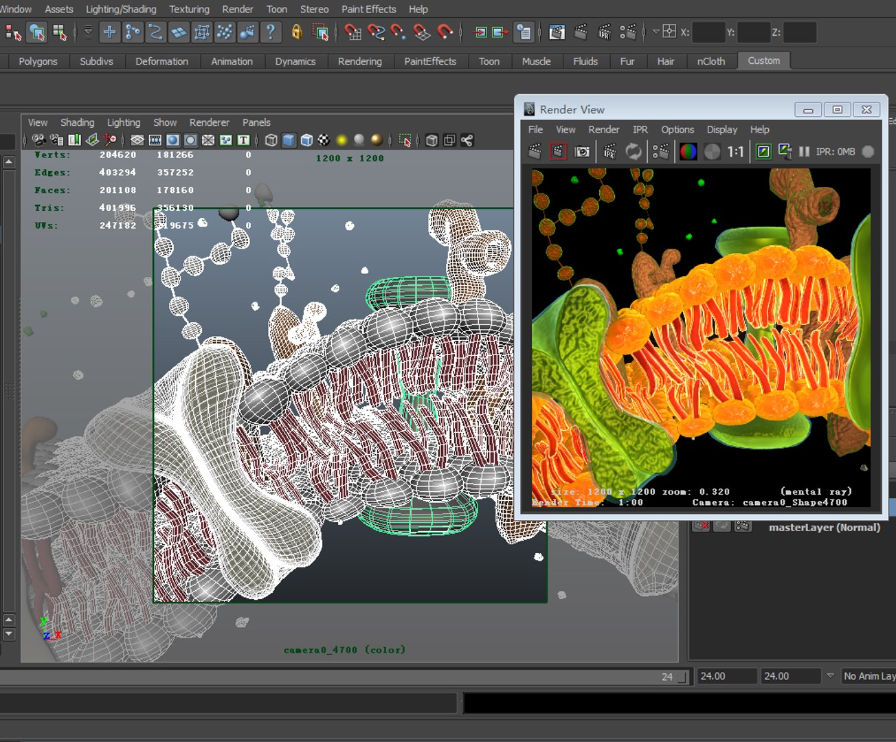 Cell Membrane 3d Model