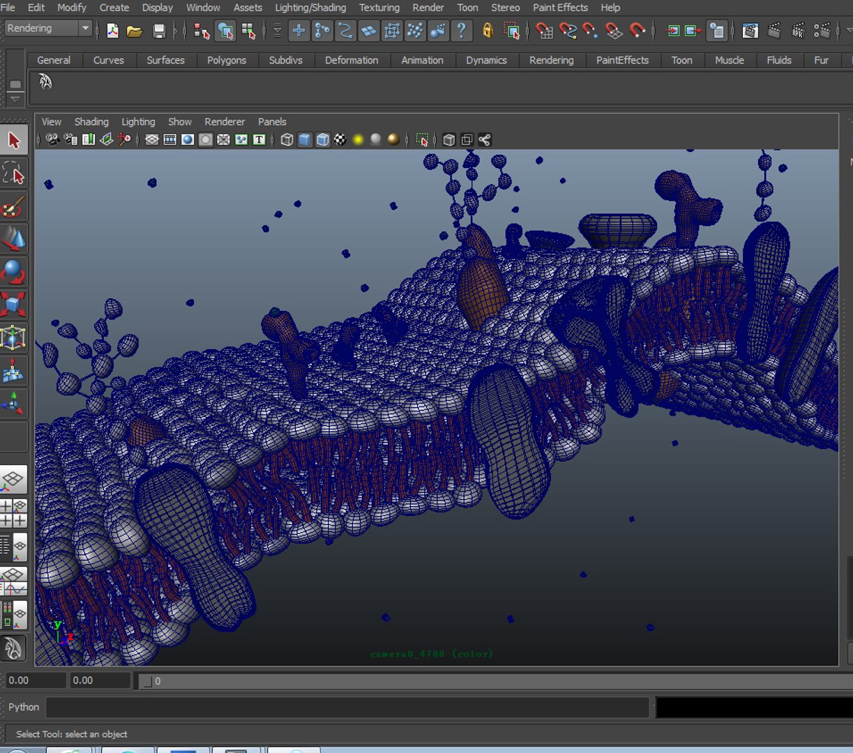 Cell Membrane 3d Model