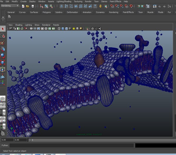 cell membrane 3d model