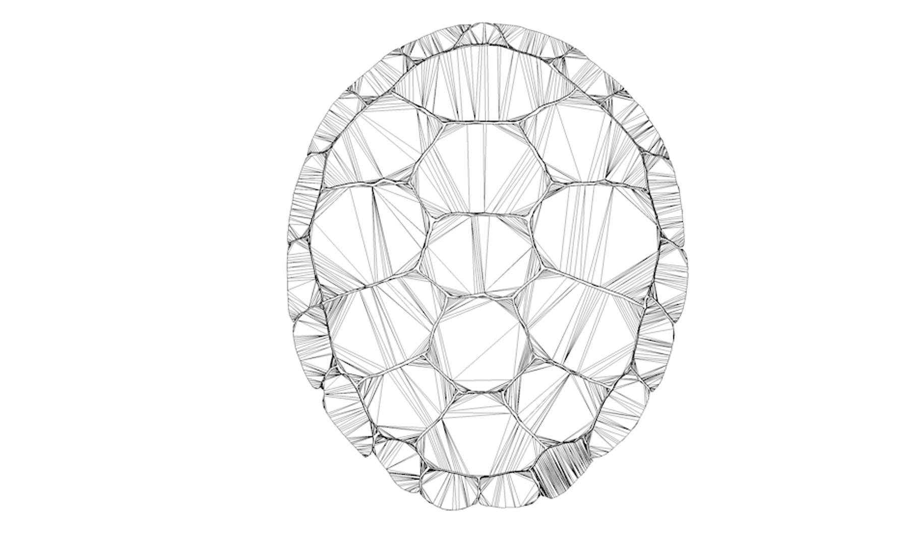 Turtle Shell Model - TurboSquid 1474275