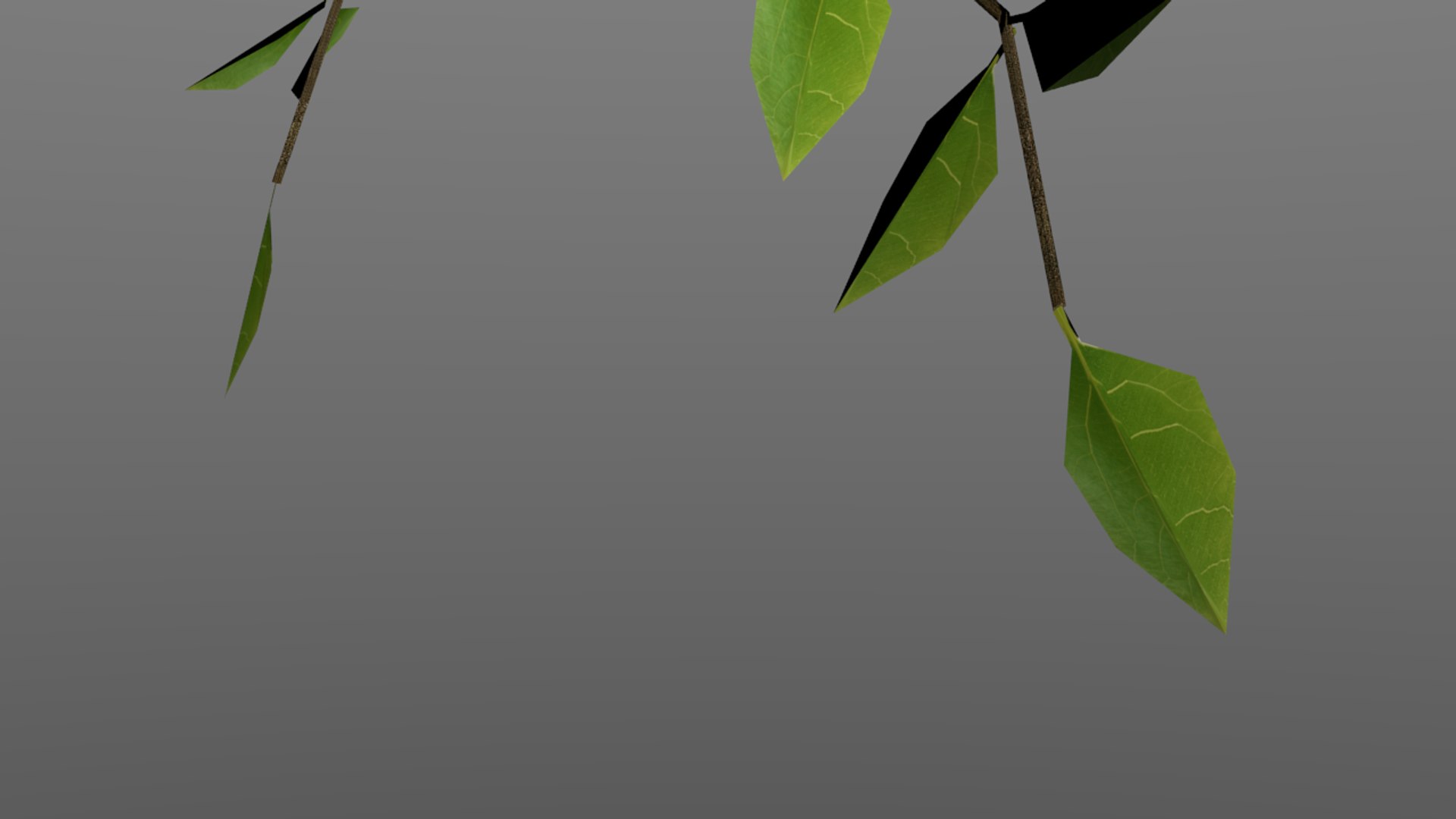 Free 3D Deciduous Tree - TurboSquid 1212740