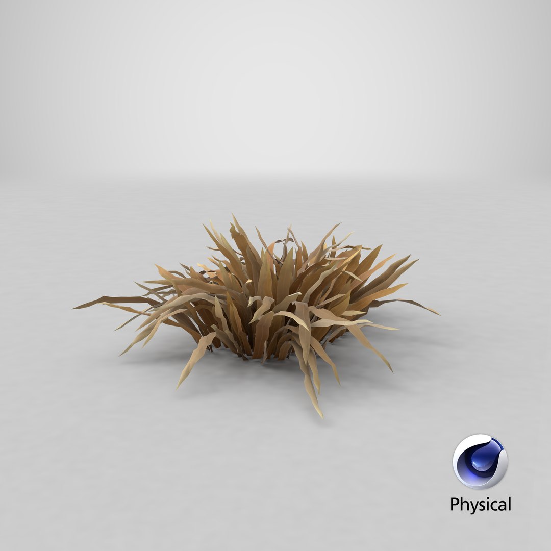 Cartoon Dry Grass 11 3D - TurboSquid 2047819