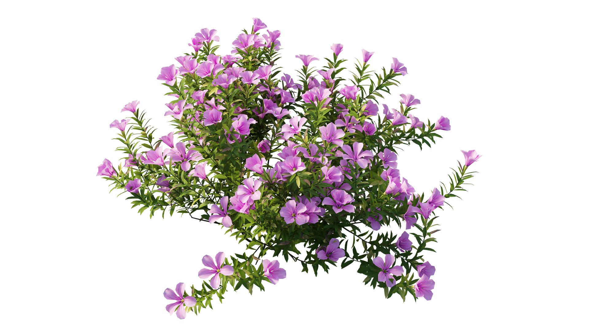 Plant Flower Set 01 3D - TurboSquid 1533271