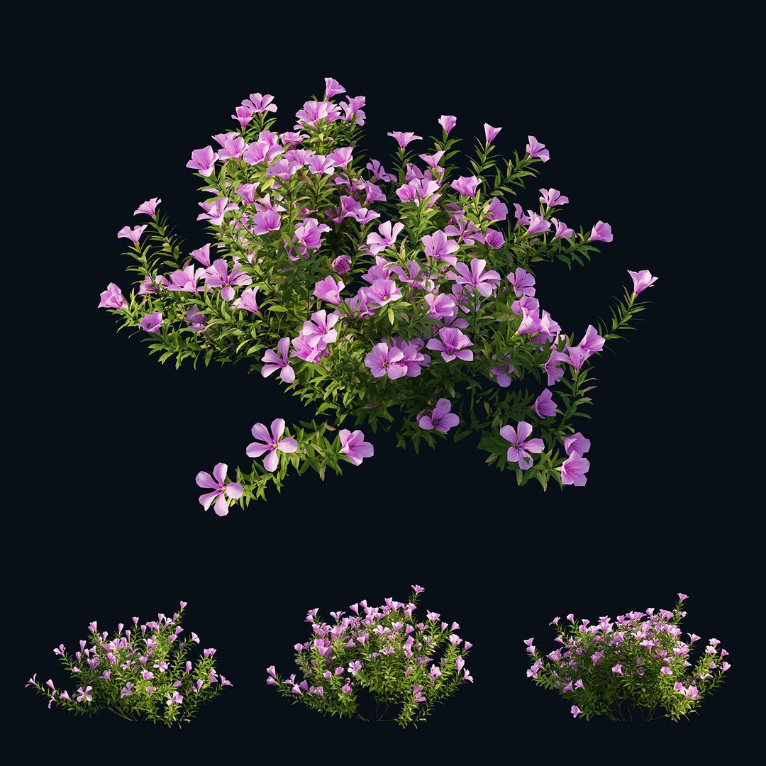 Plant Flower Set 01 3D - TurboSquid 1533271