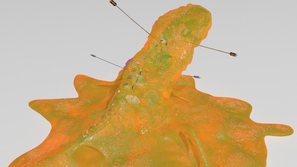 Rigged slime skeleton 3D model - TurboSquid 1371400