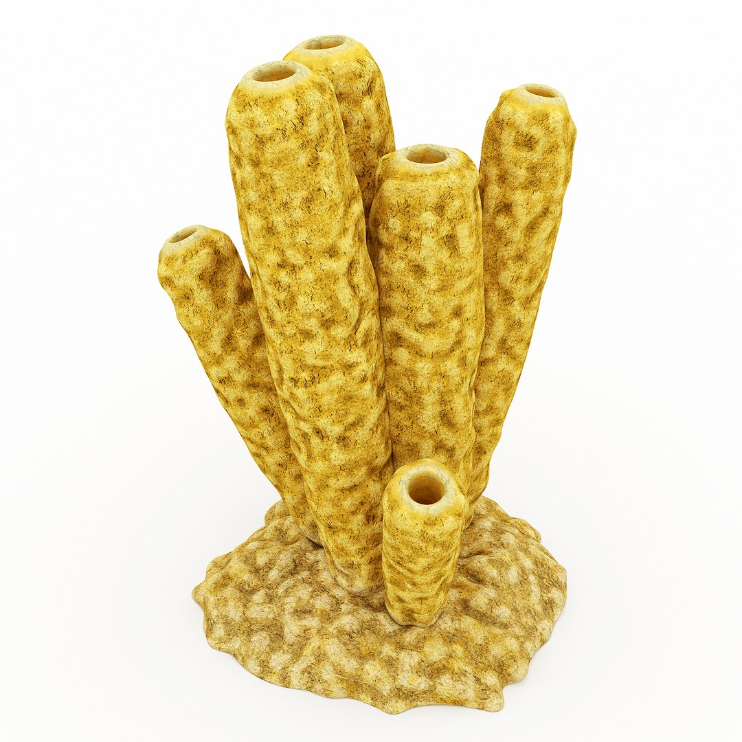 Max Coral Tube