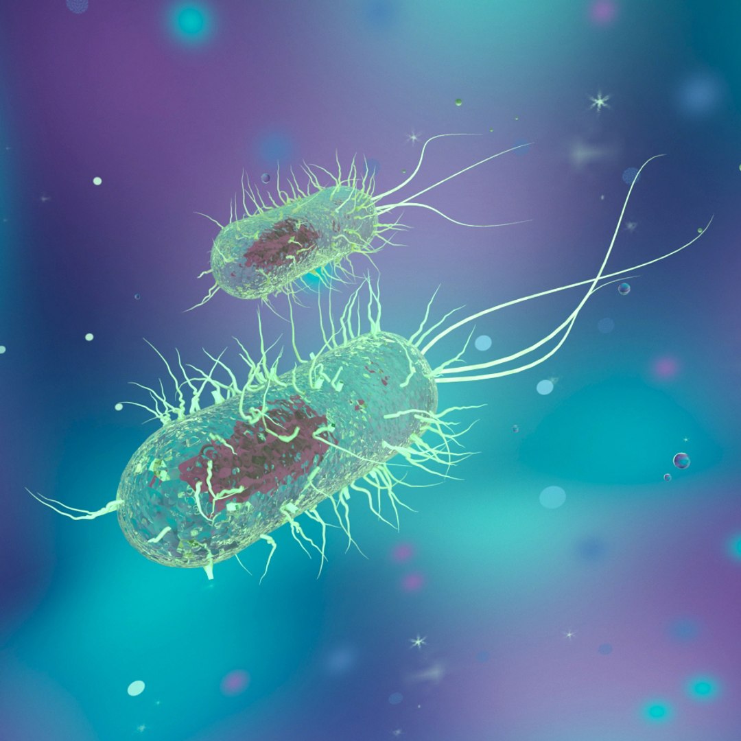 3D prokaryotes model - TurboSquid 1486627