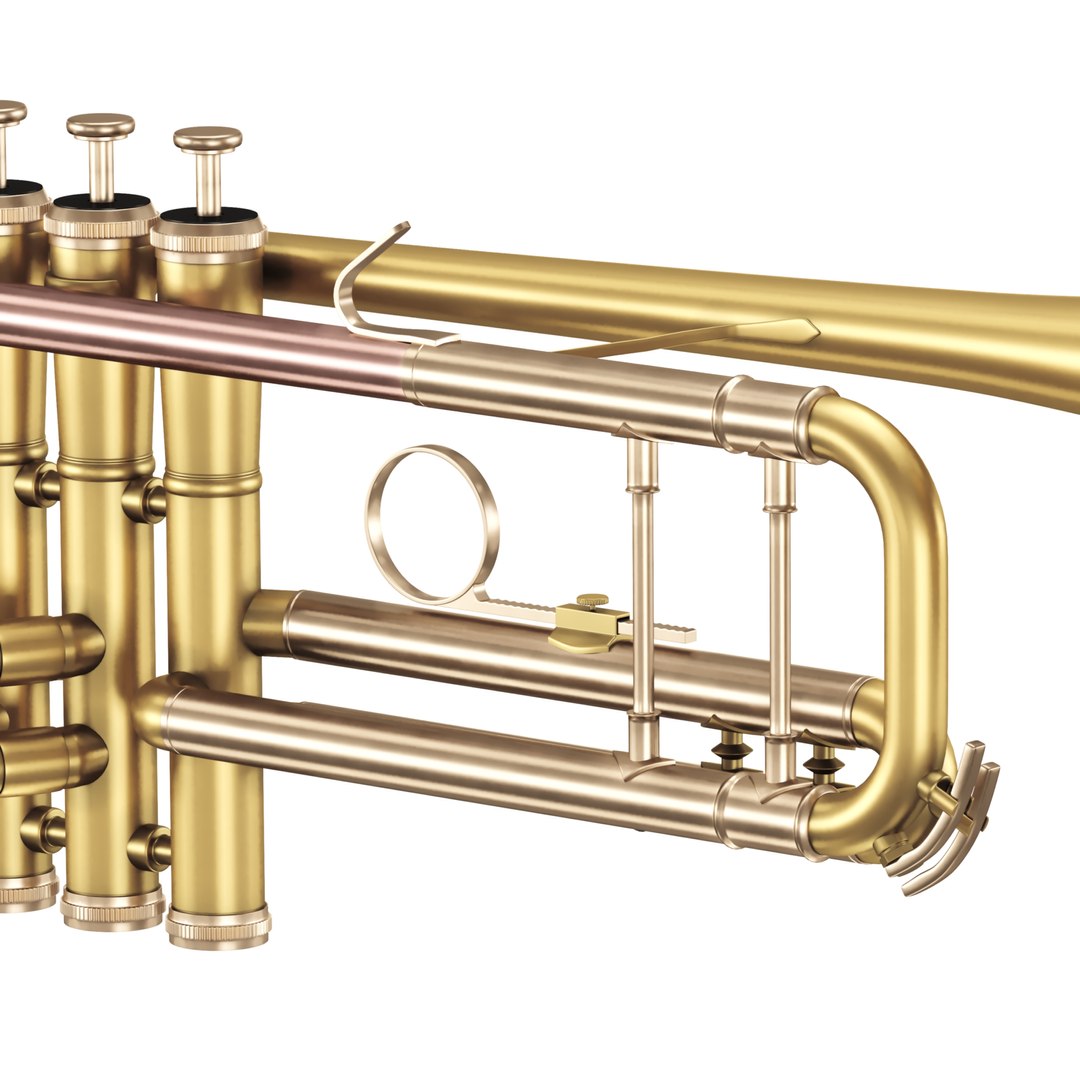 Brass Instrument Trumpet 3D Model - TurboSquid 2086648