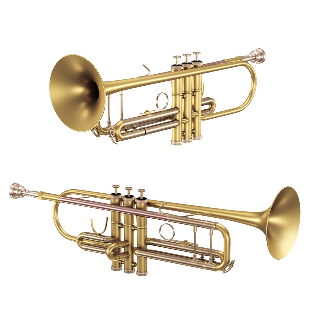 Brass Instrument Trumpet 3D Model - TurboSquid 2086648