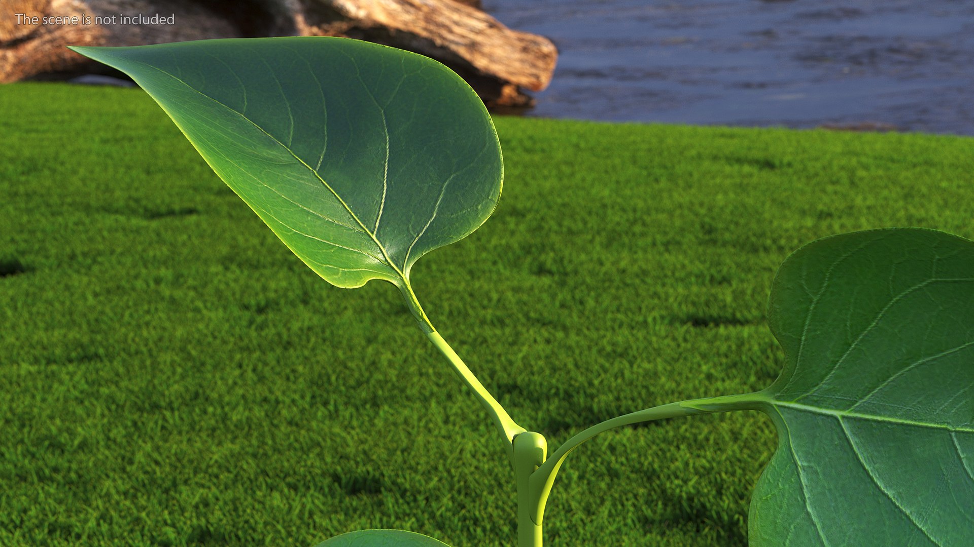 Realistic Green Leaf 3D Model - TurboSquid 2146080