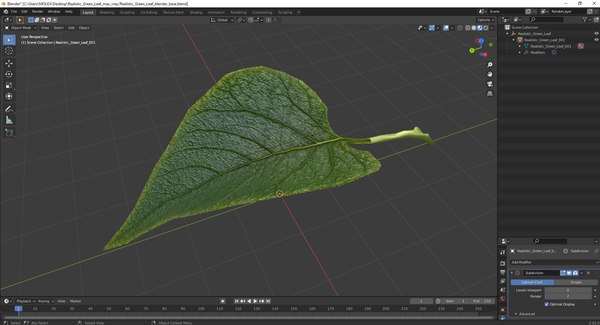 modelo 3d Hoja verde realista - TurboSquid 2146080