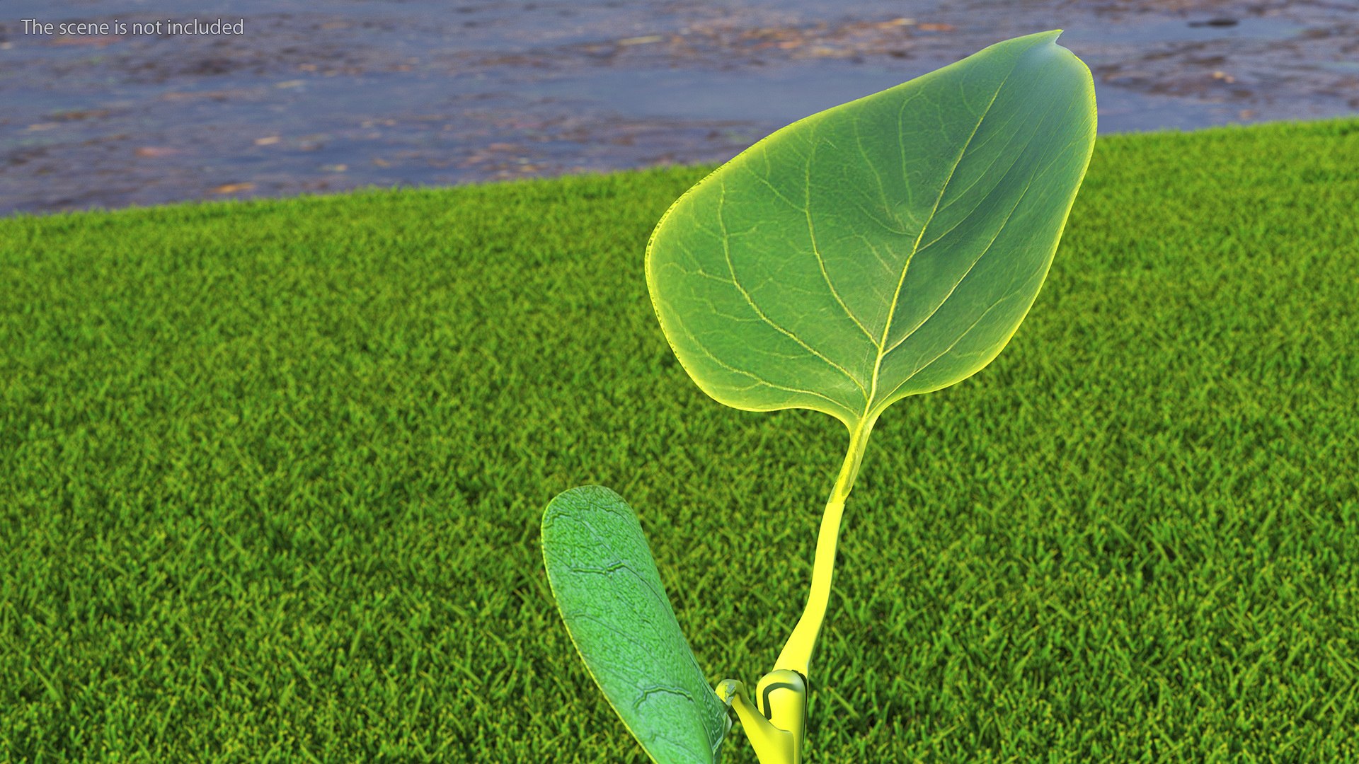 Realistic Green Leaf 3D Model - TurboSquid 2146080