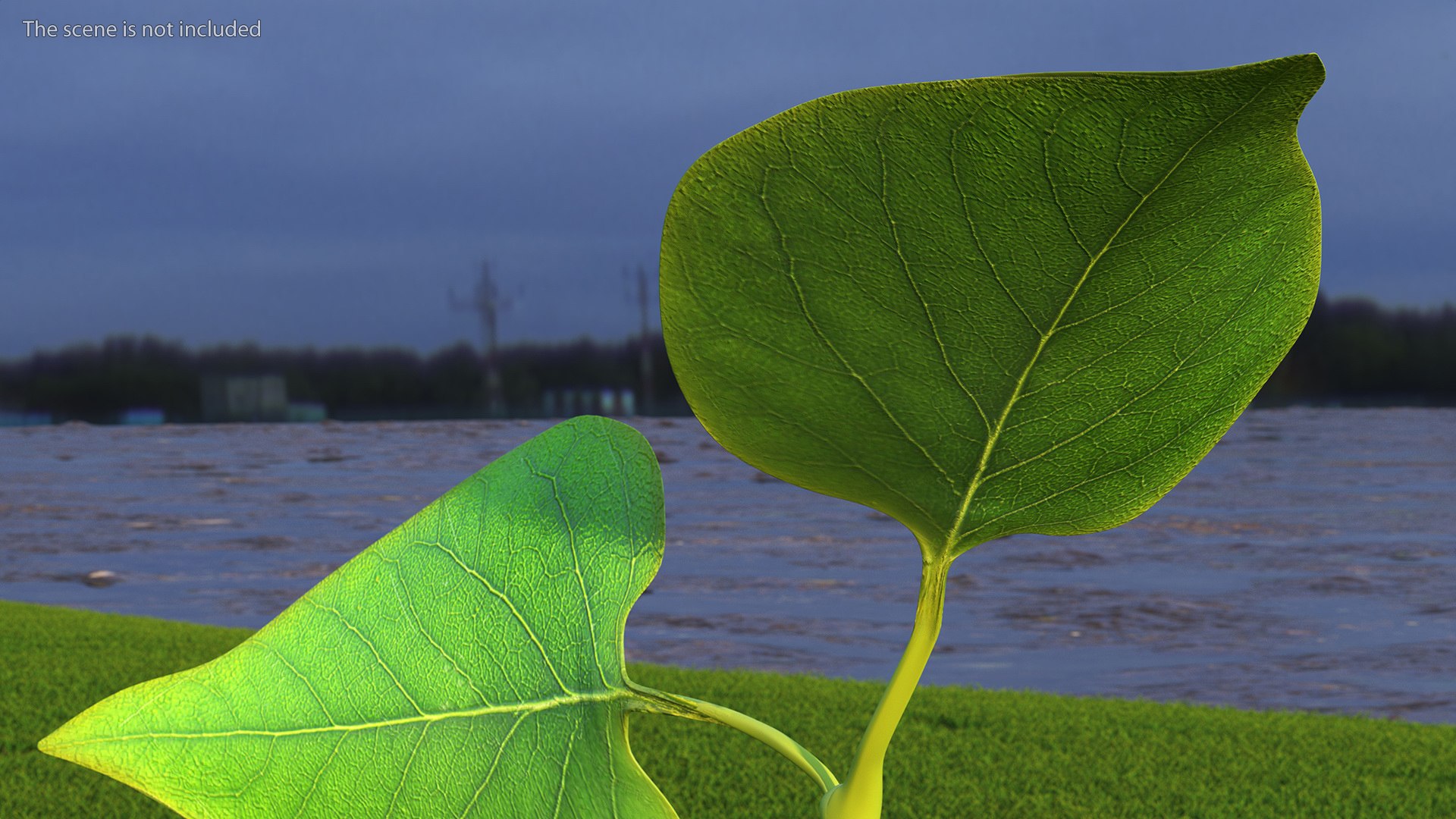 Realistic Green Leaf 3D Model - TurboSquid 2146080